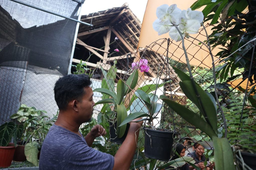 Hobi Budidaya Anggrek Raup Cuan Jutaan Rupiah Perbulan | Bongkah.id